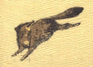 Tanuki no Kintama – Tanuki’s Giant Balls | 百物語怪談会 Hyakumonogatari Kaidankai