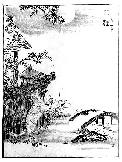 Tanuki no Kintama – Tanuki’s Giant Balls | 百物語怪談会 Hyakumonogatari Kaidankai