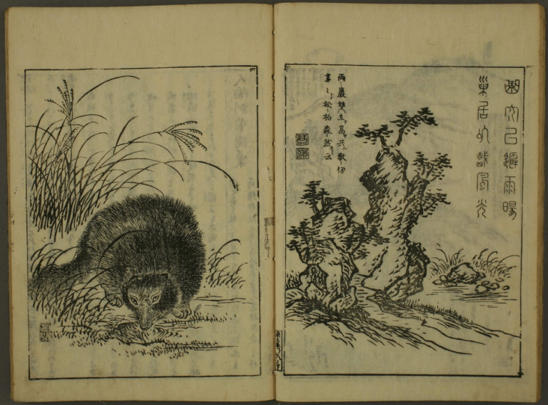 Tanuki Stories | 百物語怪談会 Hyakumonogatari Kaidankai